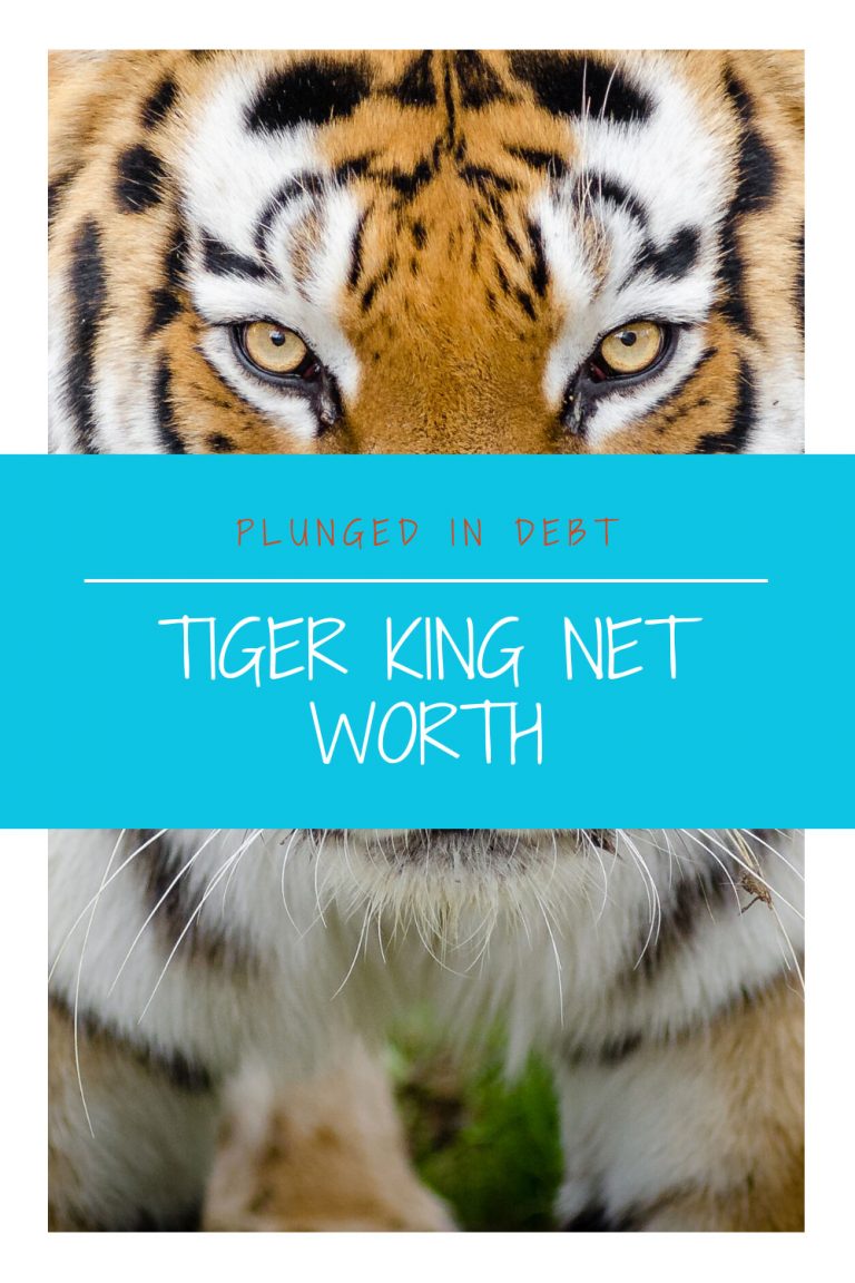 Tiger King Net Worth How Much Money Do These People Have tiger-king-net-worth-how-much-money-do-these-people-have